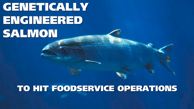 3MMI - Genetically-Engineered Salmon To Hit Foodservice Operations ...